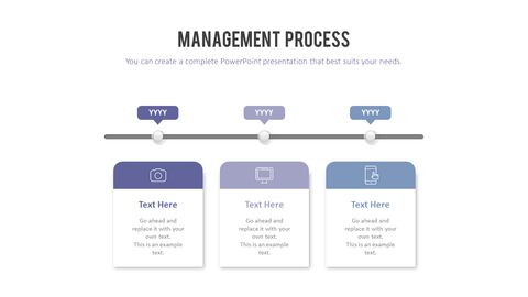 organization process ppt