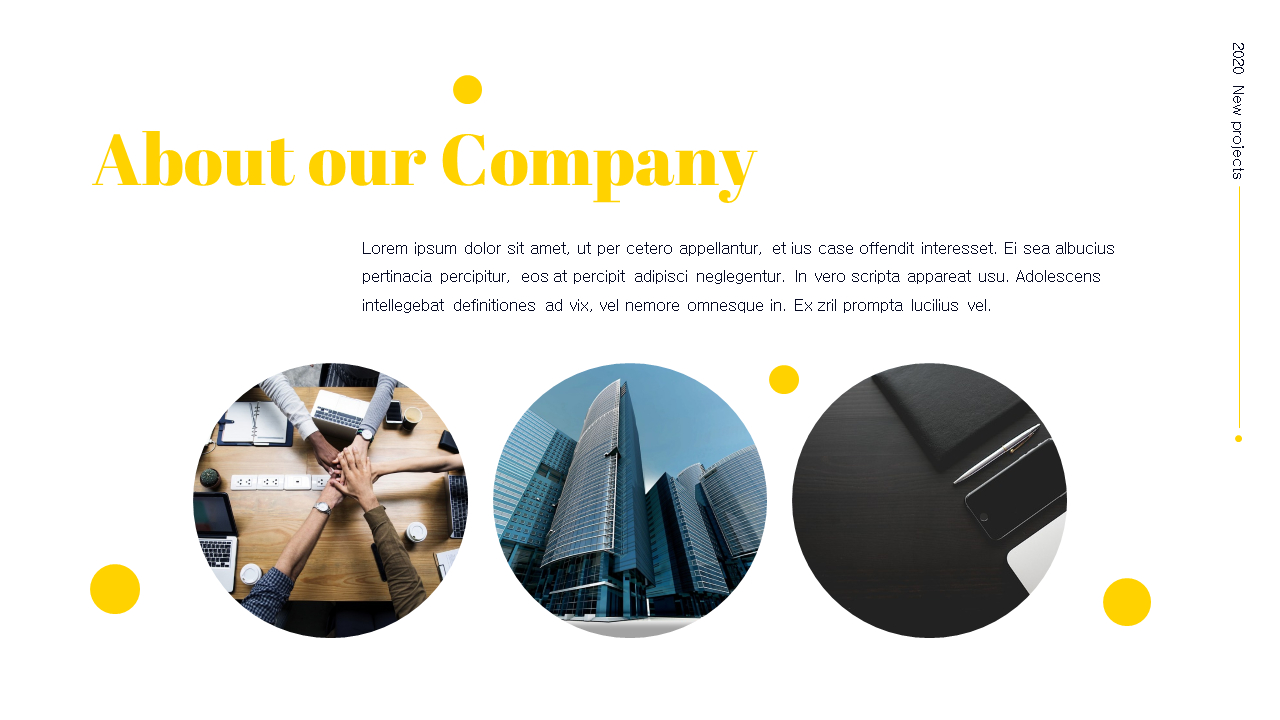 About our Company PowerPoint Design