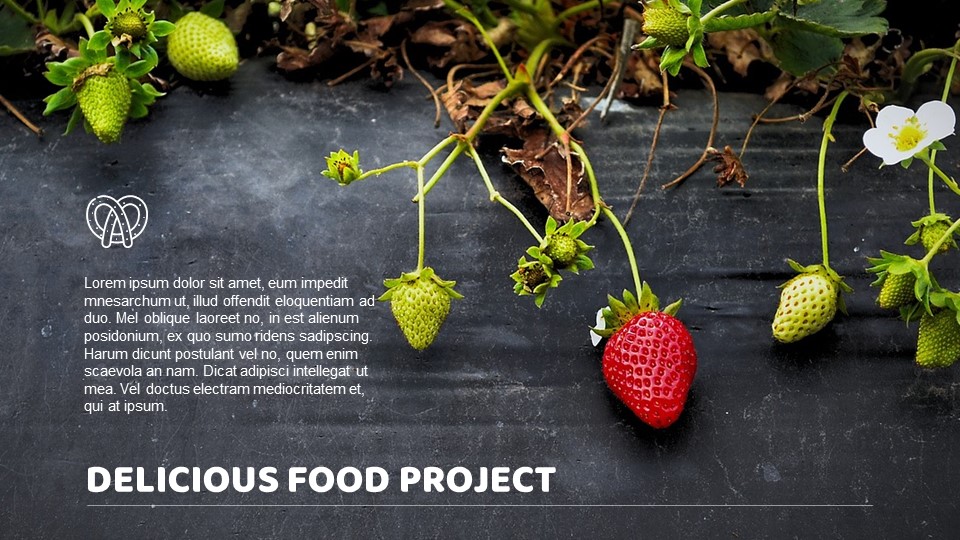 Delicious food project PowerPoint Templates