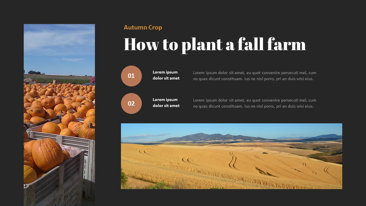 Autumn Crops Best PPT Slides