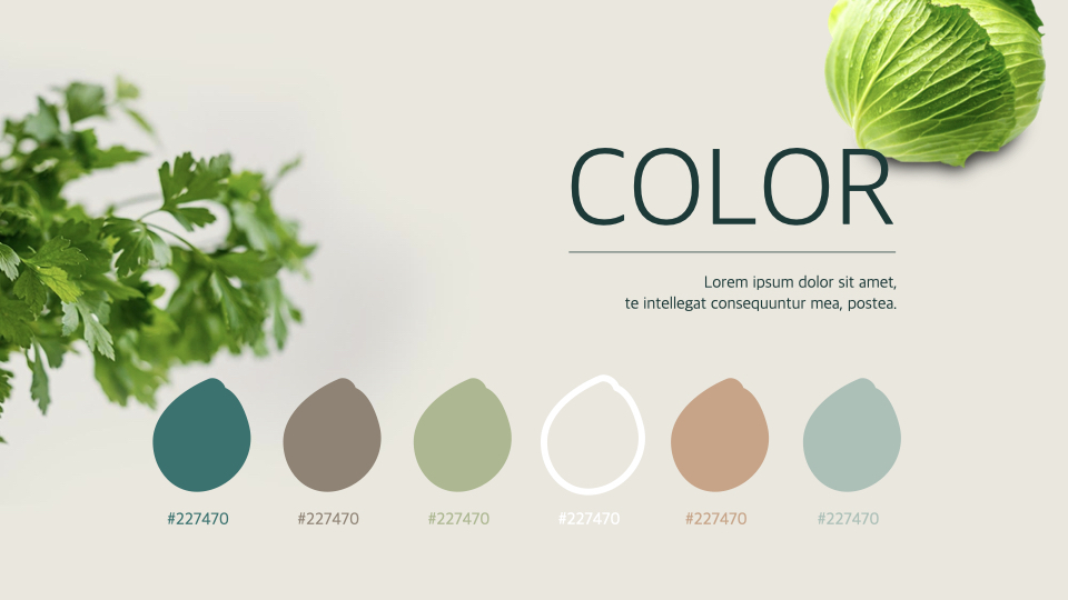 Natural food Theme Keynote Design