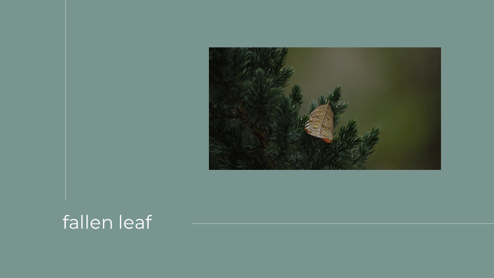 Gloomy Autumn Interactive Google Slides