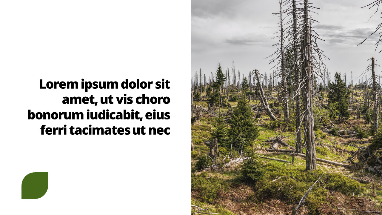 Environmental protection PowerPoint Templates for Presentation