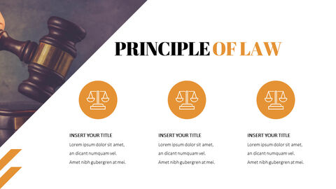 law PPT Presentation Samples