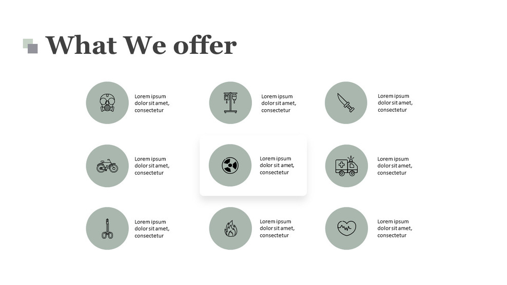 Insurance What We offer Template