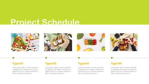 Project Schedule Presentation Slides