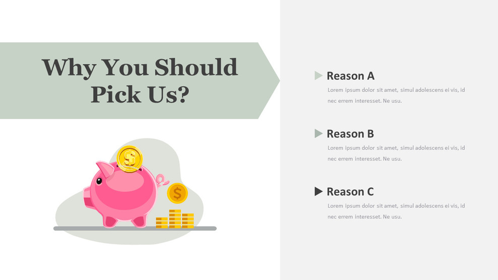 Why You Should Pick Us? Page Slide