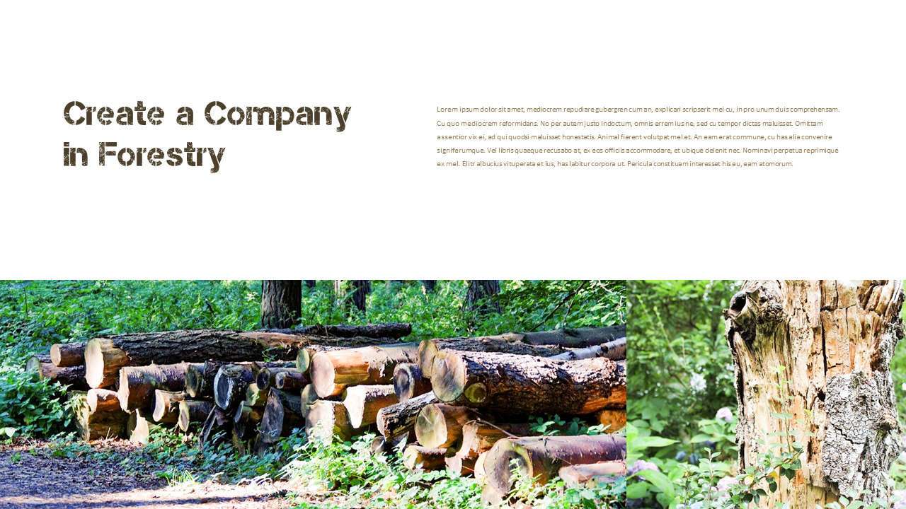 Forestry Business Powerpoint Backgrounds