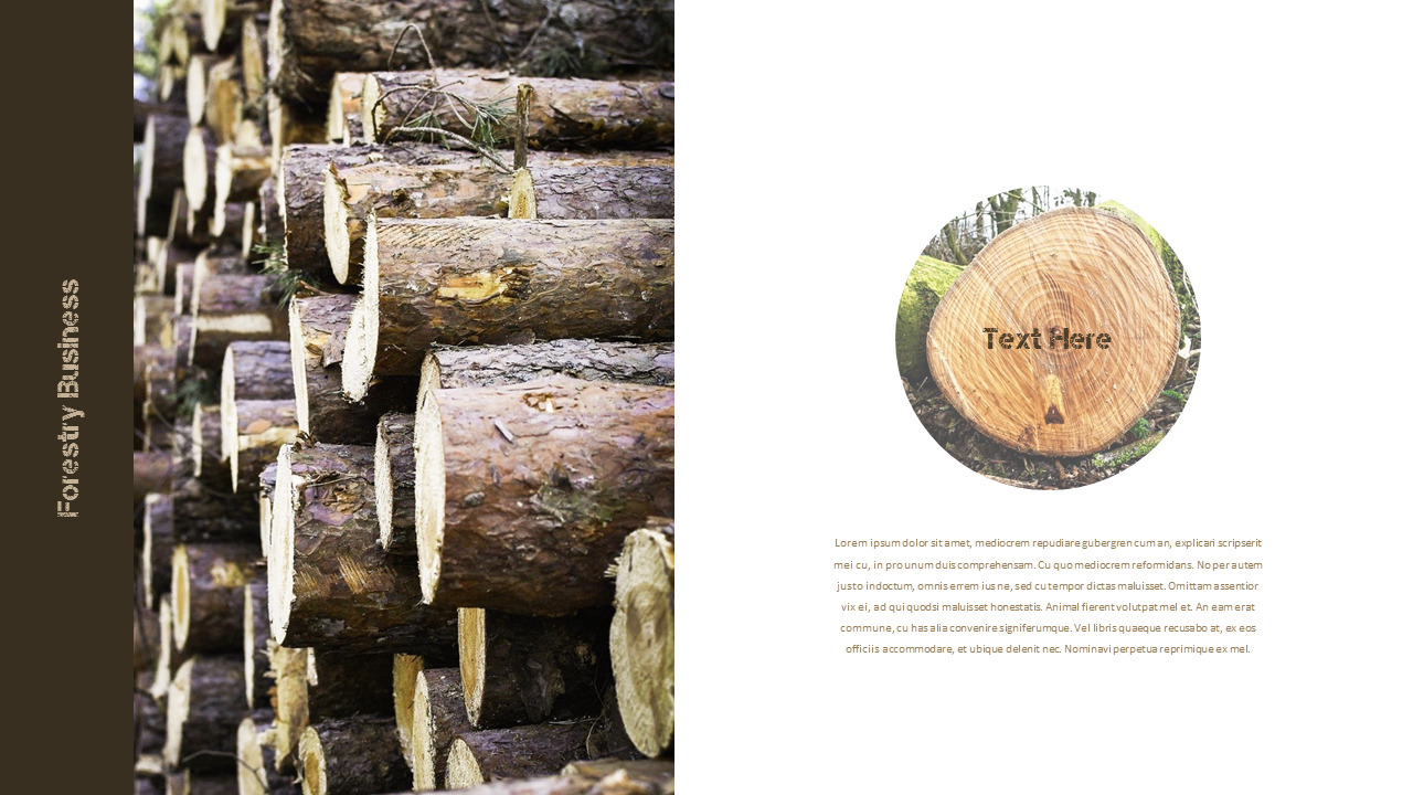 Forestry Business PowerPoint Backgrounds