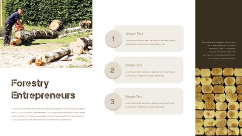 Forestry Business PowerPoint Backgrounds