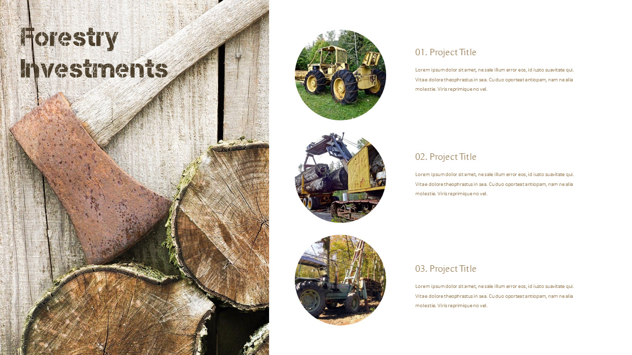 Forestry Business PowerPoint Backgrounds