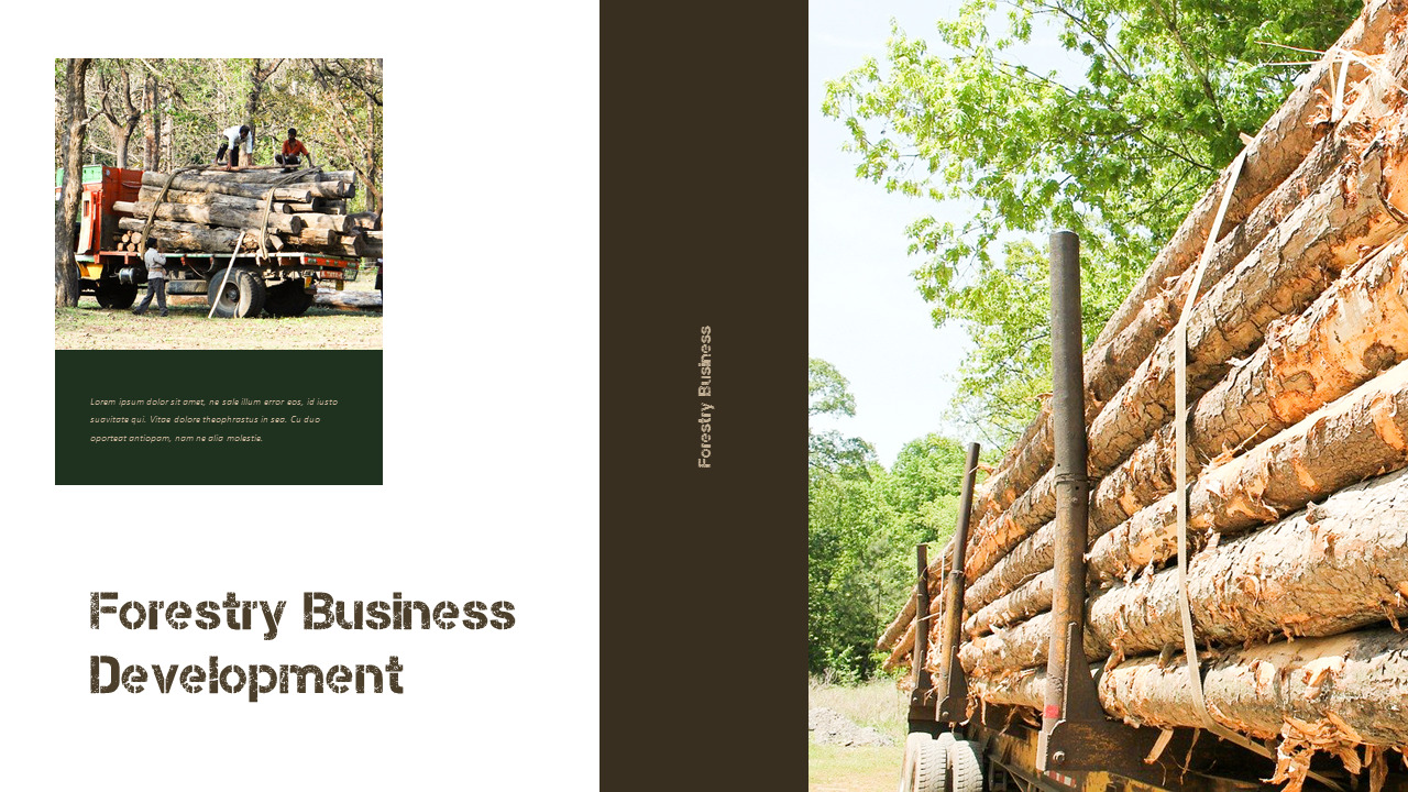 Forestry Business PowerPoint Backgrounds