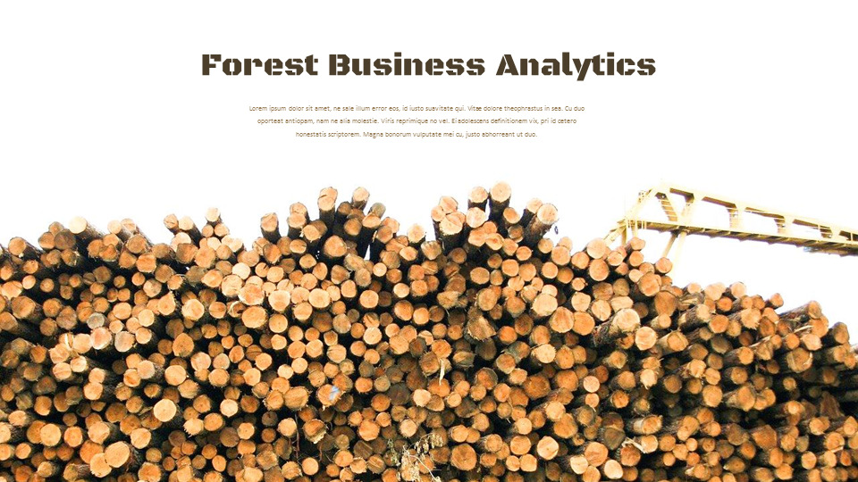 Forestry Business Presentation Google Slides Templates