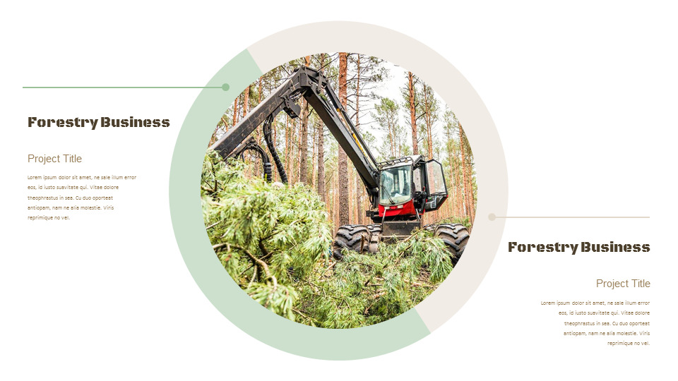 Forestry Business Presentation Google Slides Templates