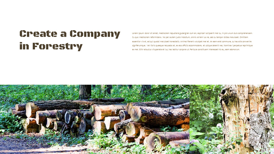 Forestry Business Presentation Google Slides Templates