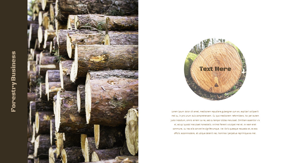 Forestry Business Presentation Google Slides Templates