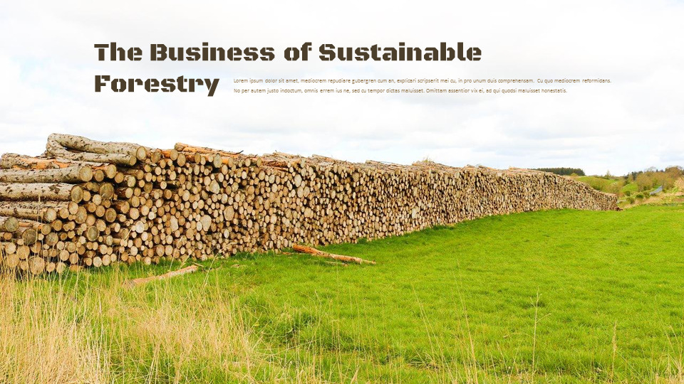 Forestry Business Presentation Google Slides Templates