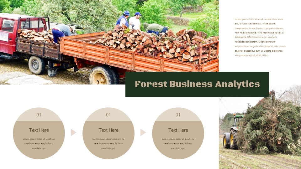 Forestry Business Presentation Google Slides Templates