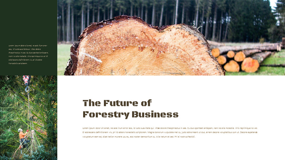 Forestry Business Presentation Google Slides Templates