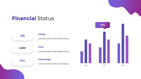 Financial Status Chart Template