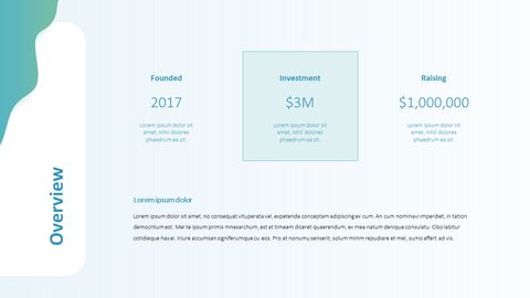 Overview Single Layout
