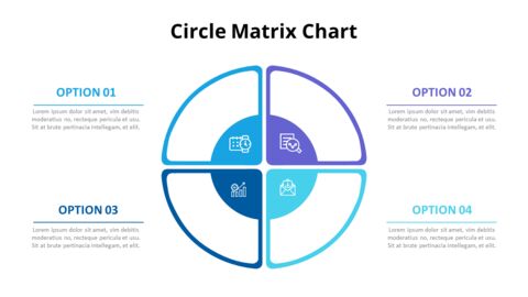 Circle Matrix Analysis Diagram