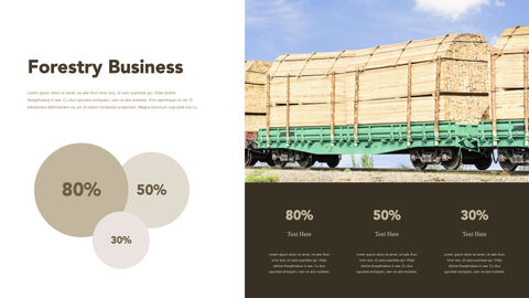 Forestry Business template keynote