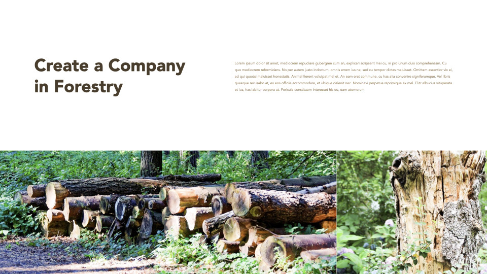 Forestry Business template keynote