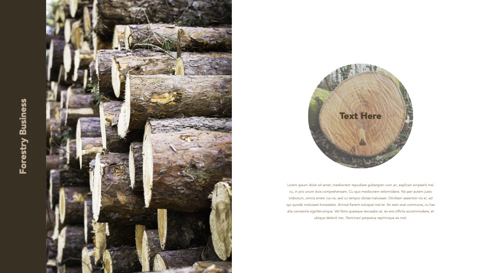 Forestry Business template keynote