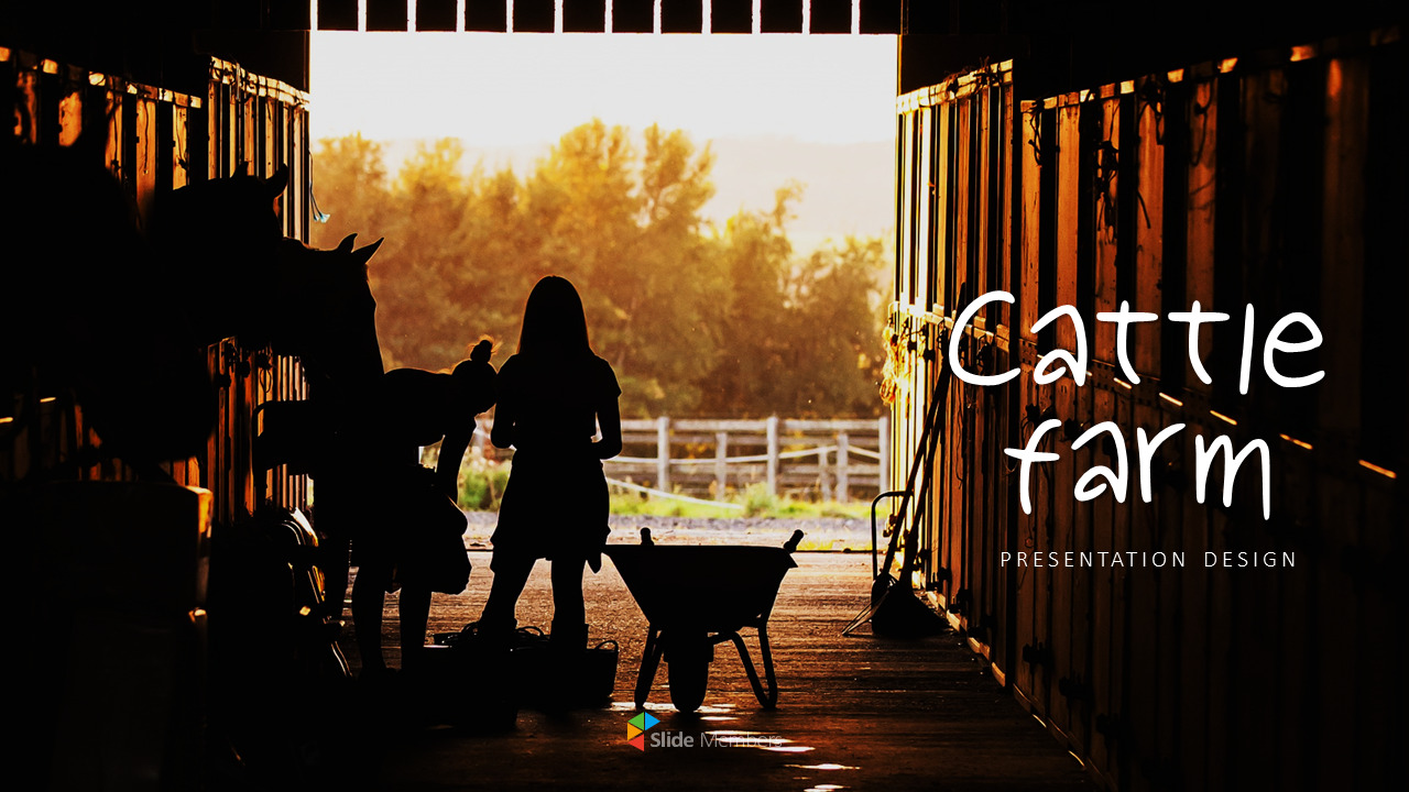 Cattle Farm Business PowerPoint Templates