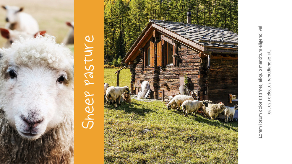 Granja de ganado Plantillas de PowerPoint para empresas