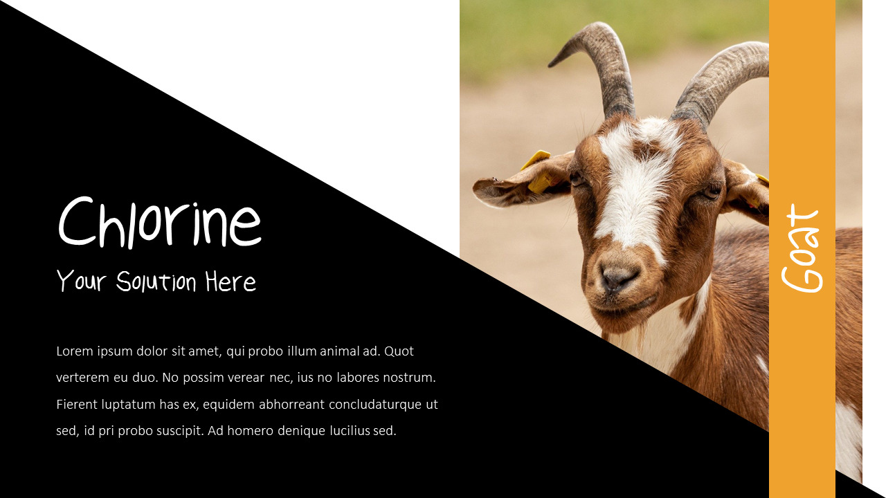Cattle Farm Business PowerPoint Templates