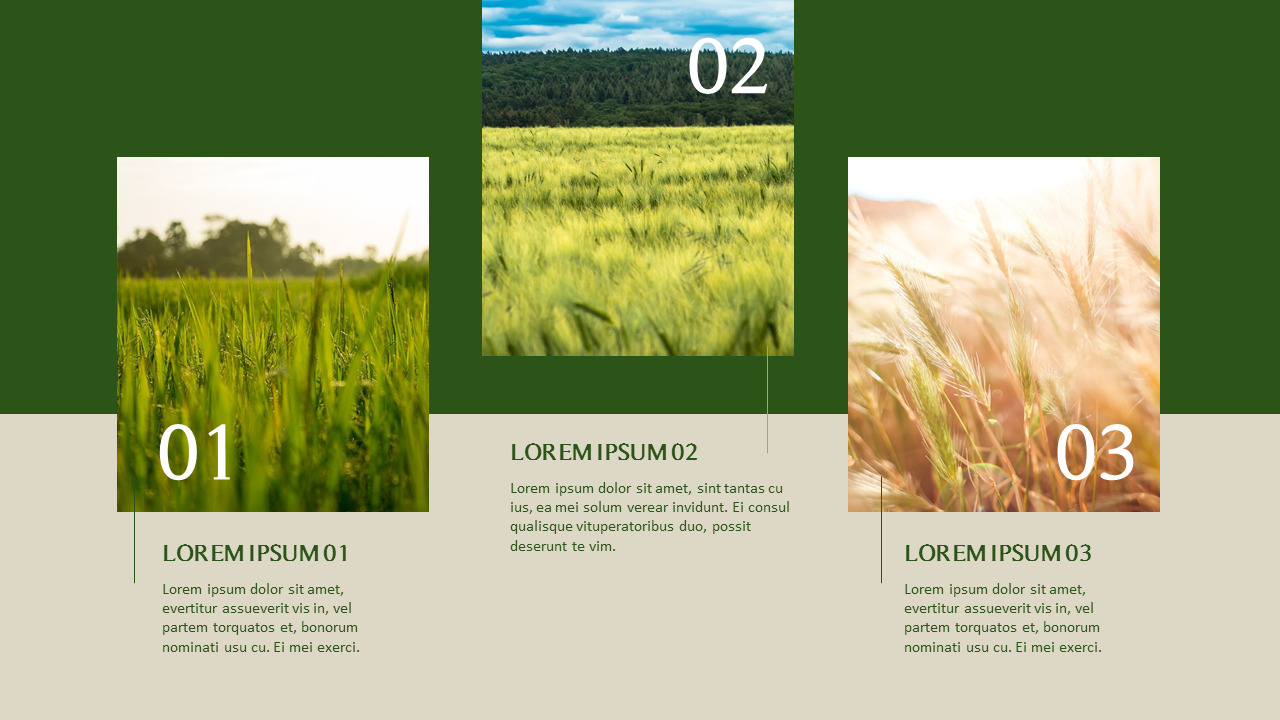 Agriculture elegant ppt templates|Business