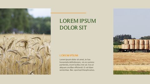 Agriculture elegant ppt templates|Business