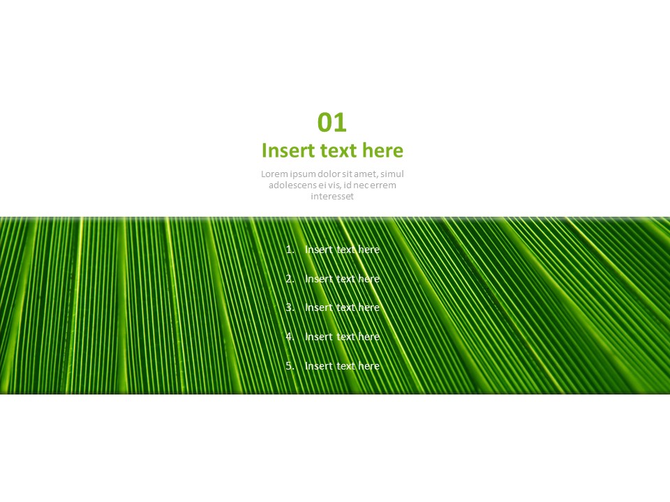 Green Striped Texture- Quadrangled Border - Free Design Template