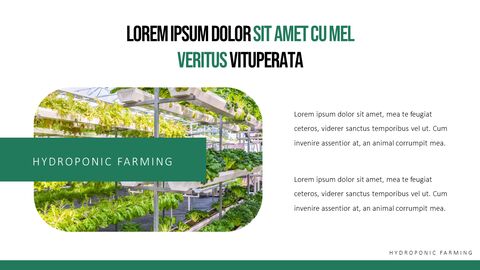 Hydroponic Gardening PPT Templates Simple Design|Business