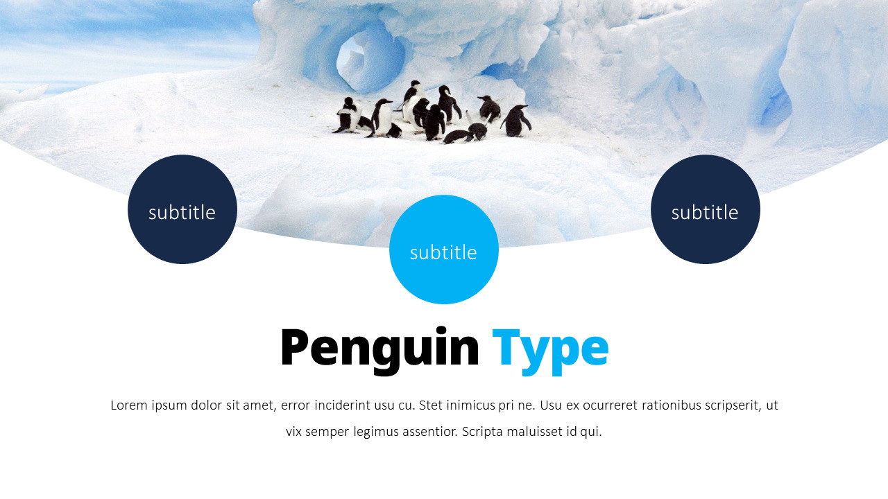 Penguin Presentation PowerPoint Templates Design|Lifestyle