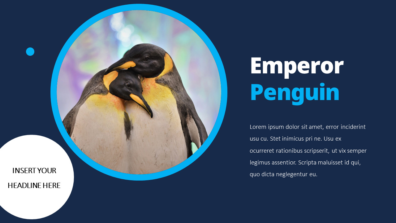 Penguin Presentation PowerPoint Templates Design|Lifestyle
