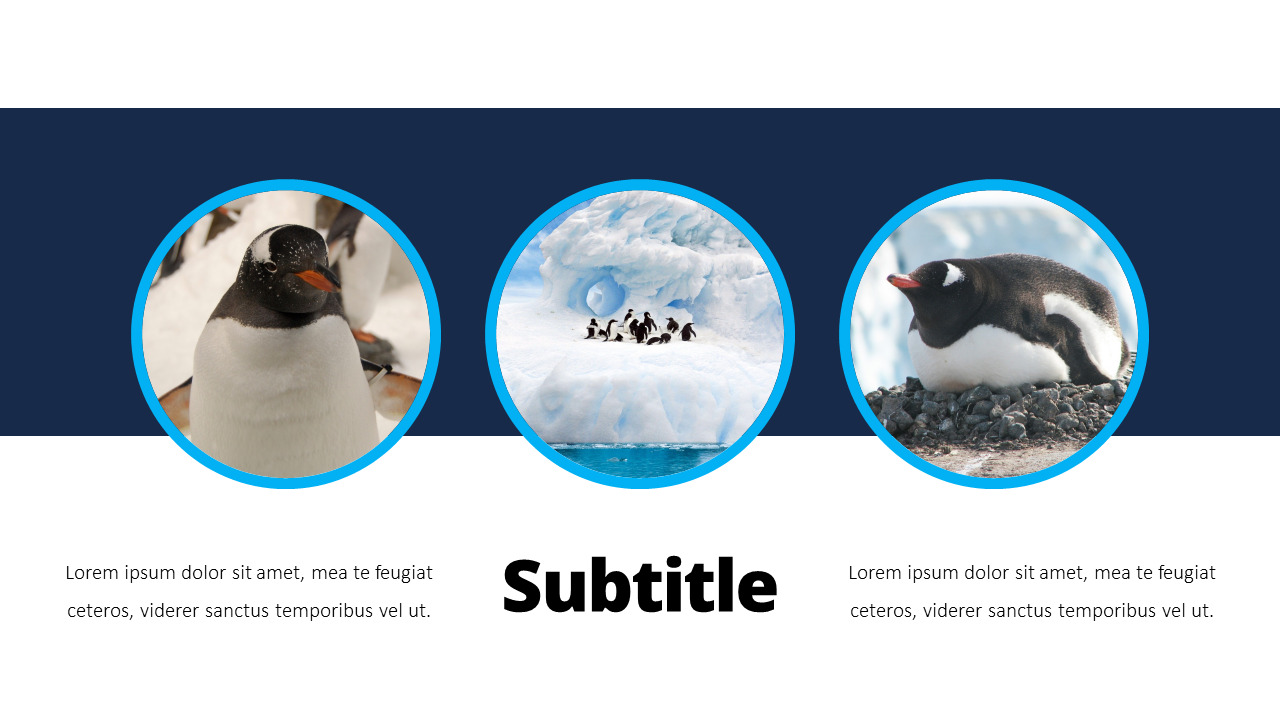Penguin Presentation PowerPoint Templates Design|Lifestyle