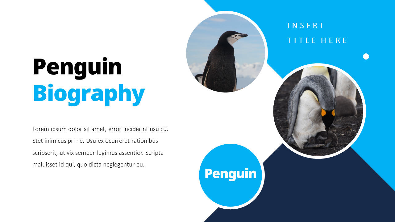 Penguin Presentation PowerPoint Templates Design|Lifestyle