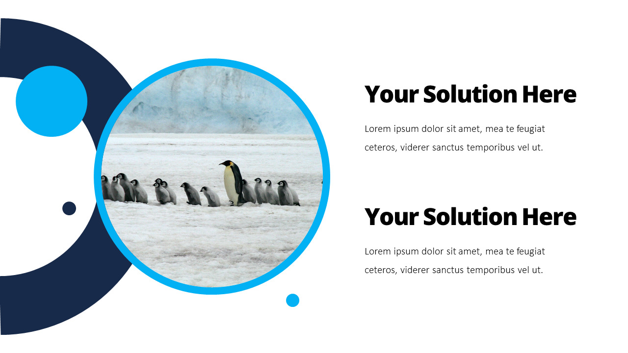 Penguin Presentation PowerPoint Templates Design|Lifestyle