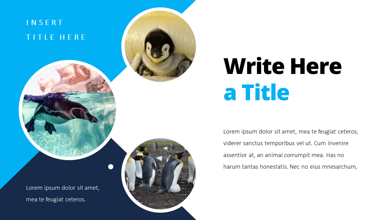 Penguin Presentation PowerPoint Templates Design|Lifestyle