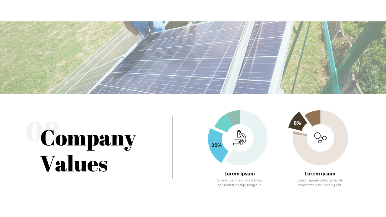 Company Values Slide|Financials|Single