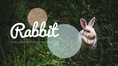 Rabbit Business Strategy PPT|Lifestyle|Templates