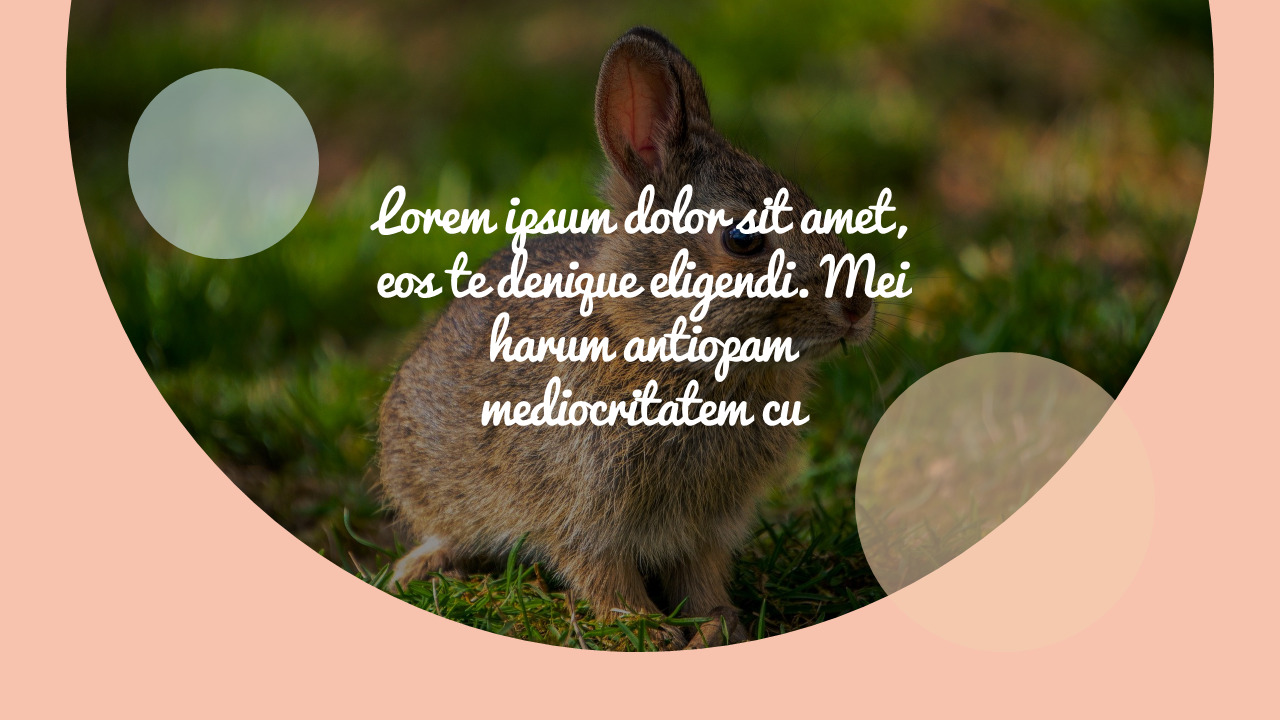 Rabbit Business Strategy PPT|Lifestyle|Templates