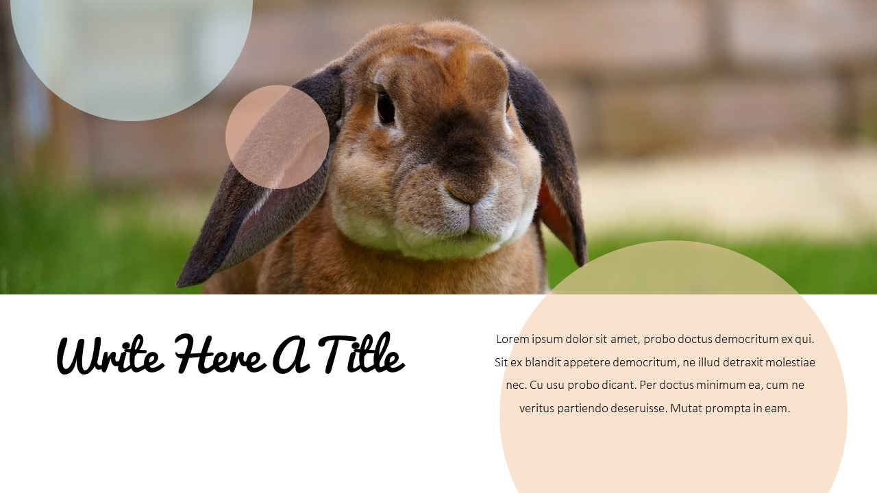 Rabbit Business Strategy PPT|Lifestyle|Templates