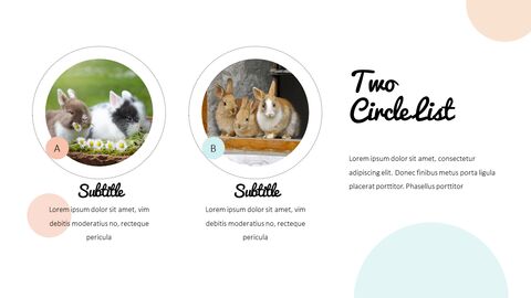 Rabbit Business Strategy PPT|Lifestyle|Templates