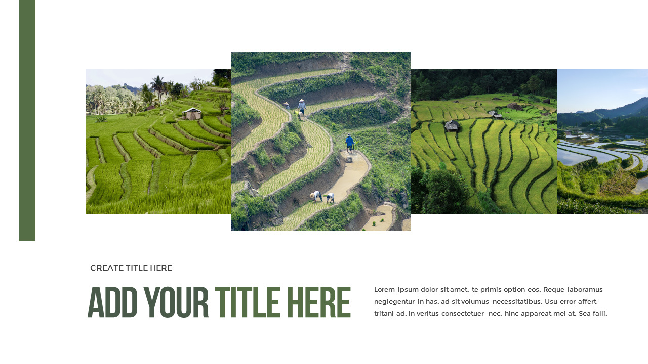 Rice Terrace power point powerpoint|Business|Templates