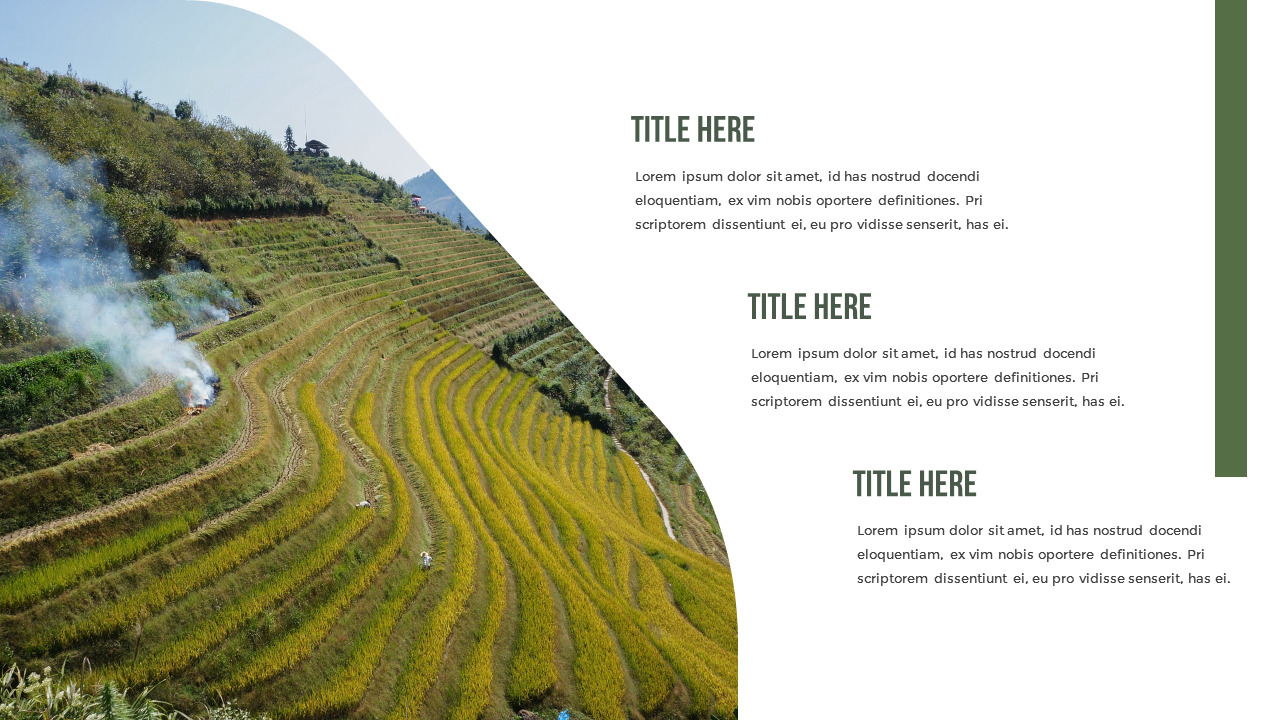 Rice Terrace power point powerpoint|Business|Templates