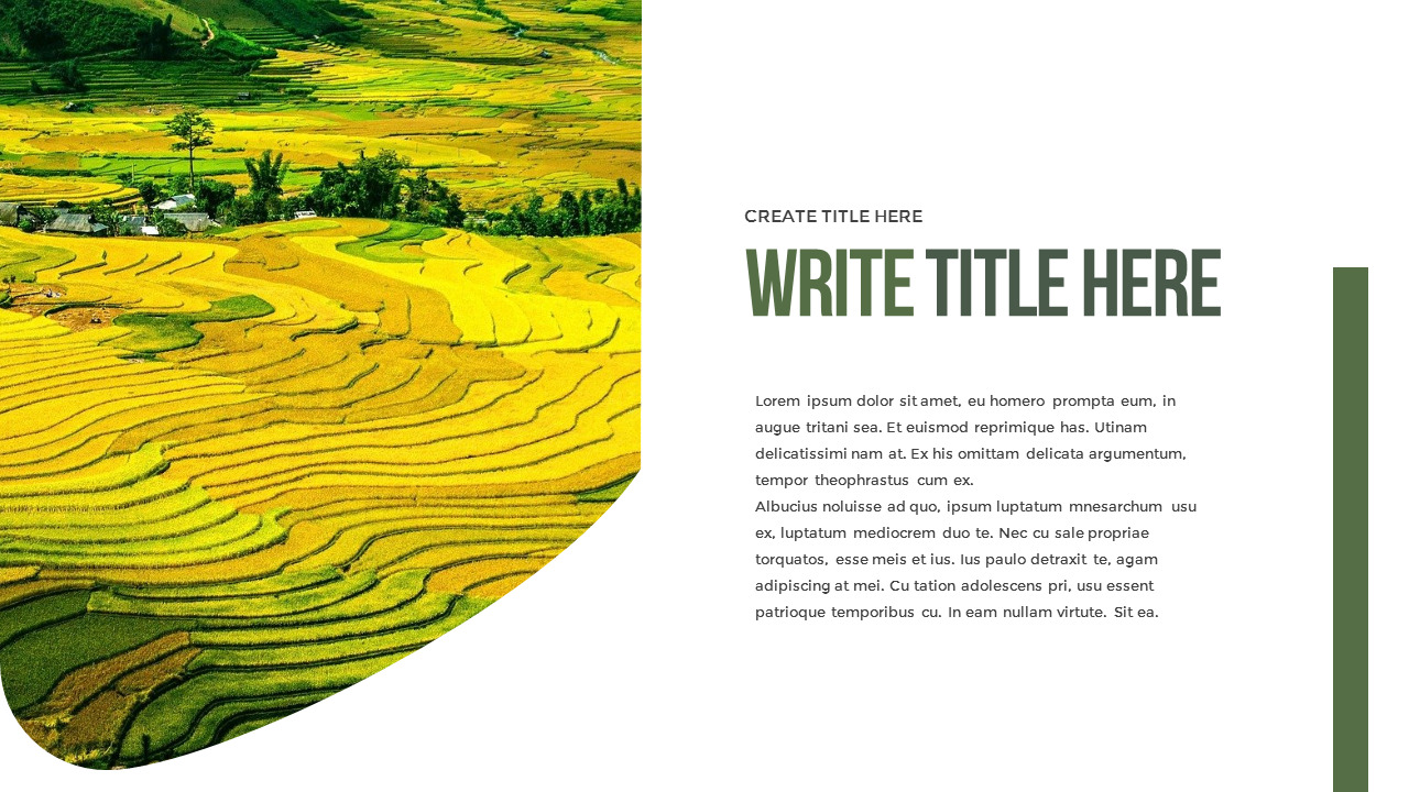 Rice Terrace power point powerpoint|Business|Templates